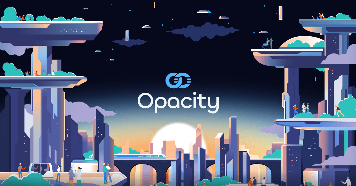 Opacity // Verify Anything