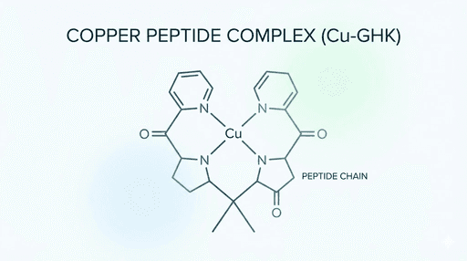 Geek and Gorgeous peptide serum: complete guide to Power Peptides ...