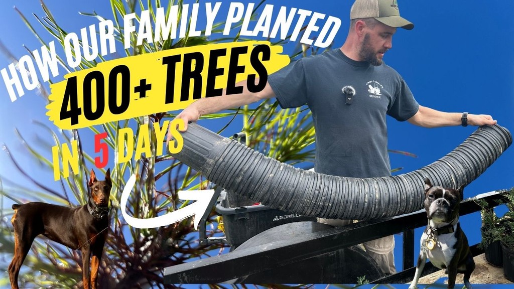 Kelso Creeks Christmas Tree Farm