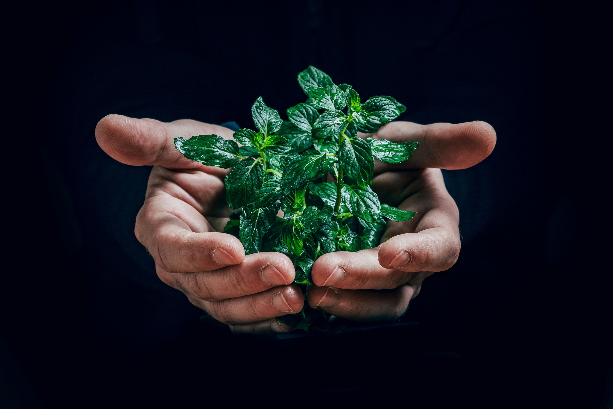 Cómo Cumplir Con La Ley General Del Equilibrio Ecológico Y La