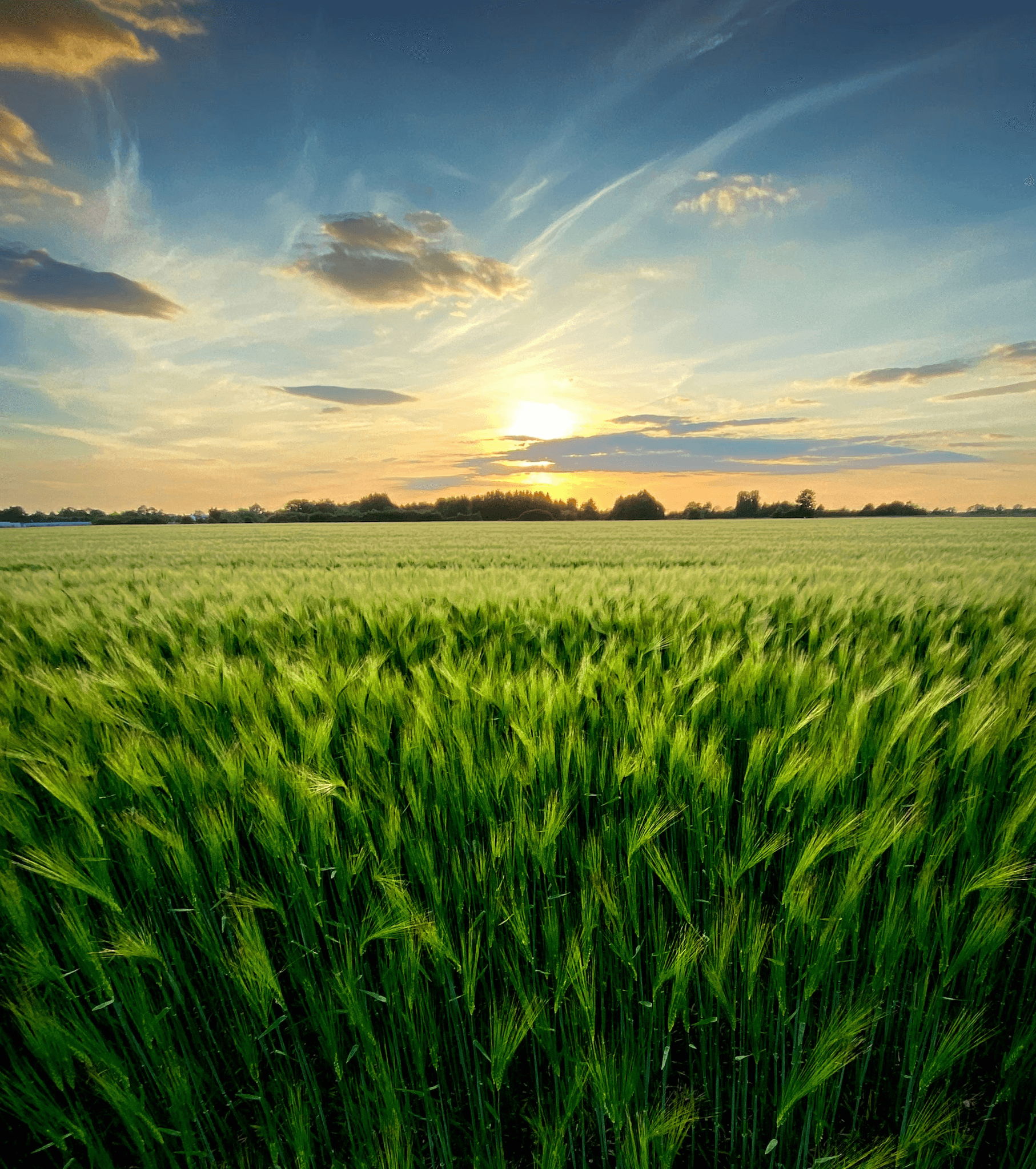 Organic Fertiliser Price & Value Comparison | Cost per Nutrient