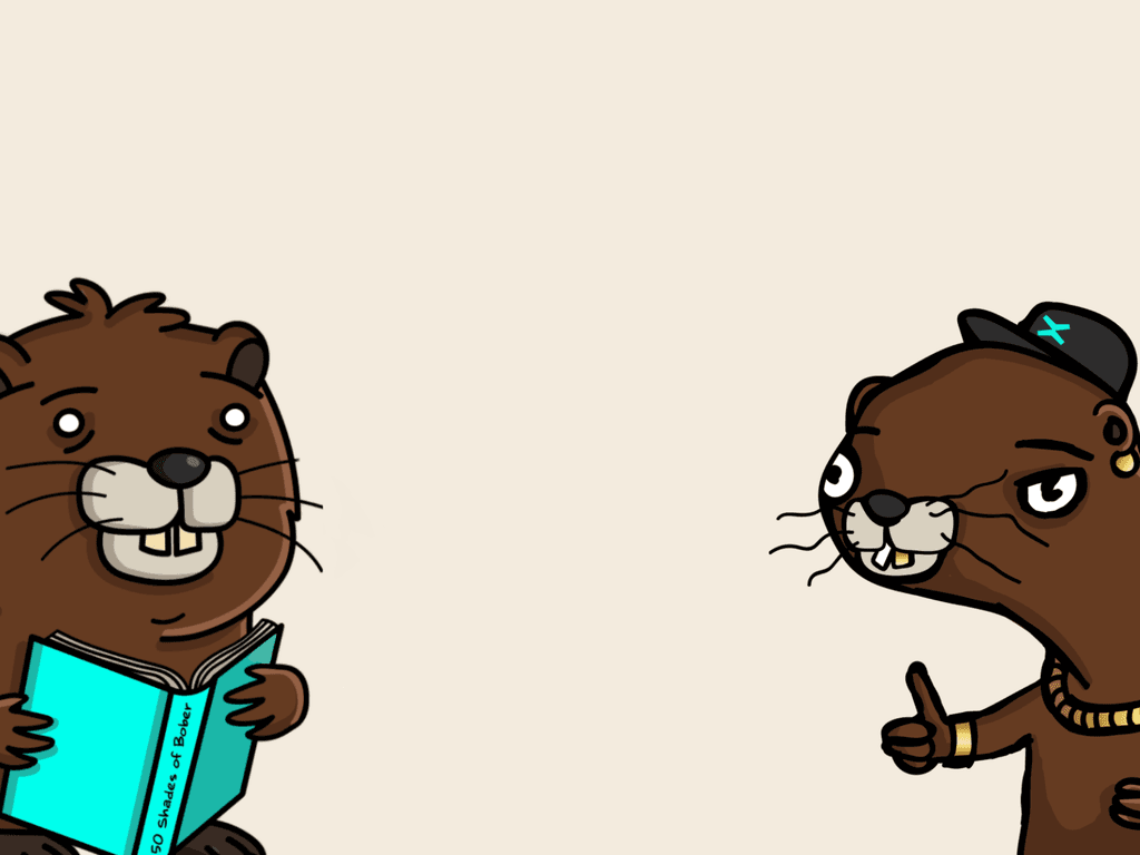 BOBER - the first meme coin that flipped the entire MultiversX.