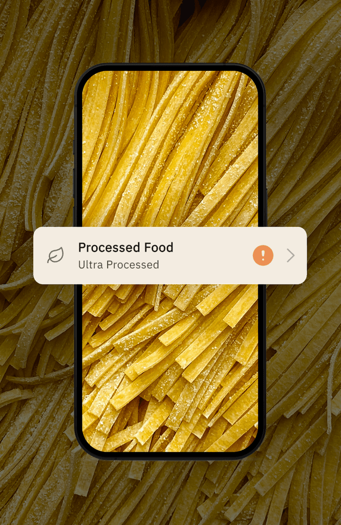 WISEcode: Decode Your Food