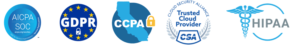 Kapiche | Conversational Intelligence for CX