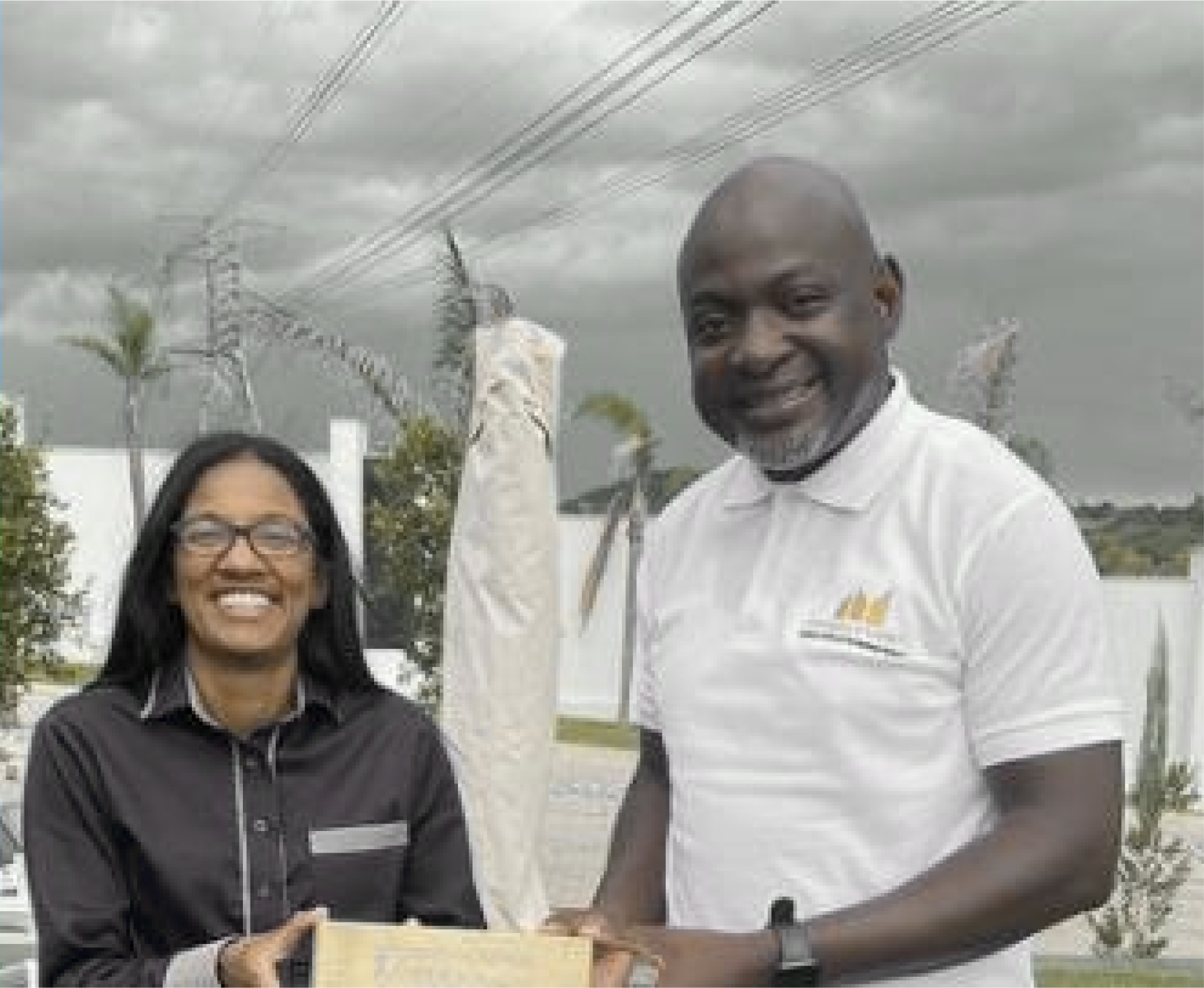 Collen Mashawana Foundation - African Based NGO