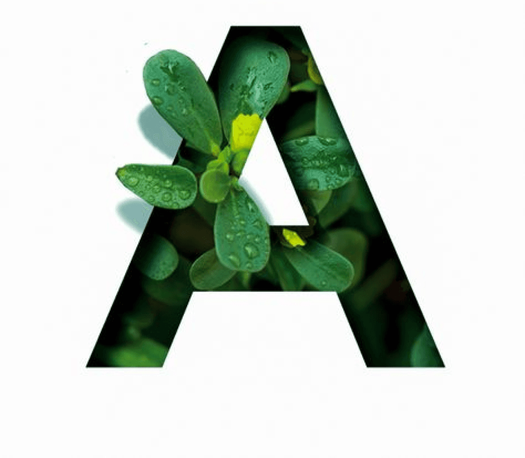 Glorify - Create all your marketing assets in a few clicks! Save up to 40%