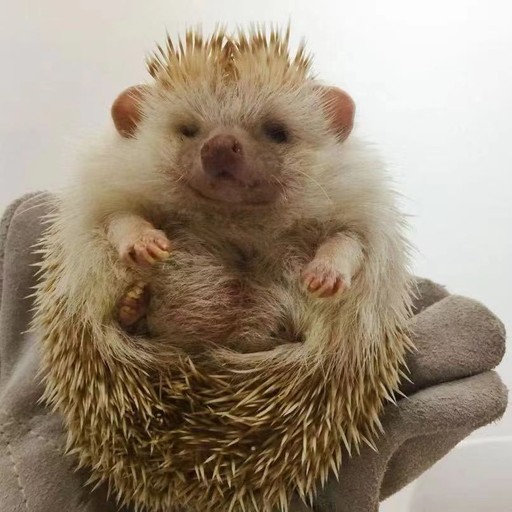 How to Have Constructive Communication