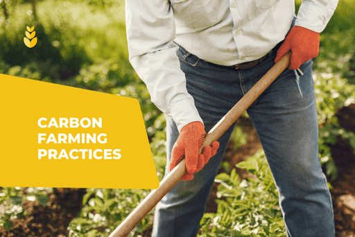 10 best carbon farming practices for soil health and income