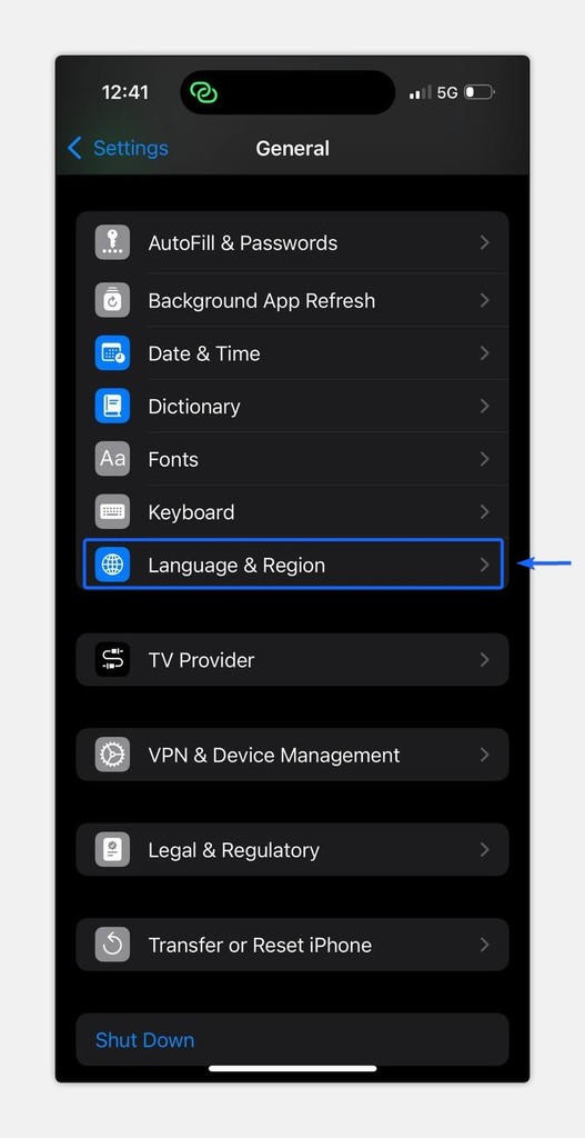 iPhone Voice to Text: Complete Guide with Commands