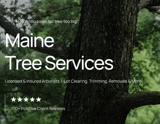 Maine Tree Services | Tree Removal, Trimming & Lot Clearing
