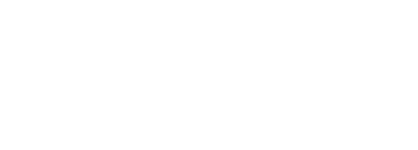Elea Collective