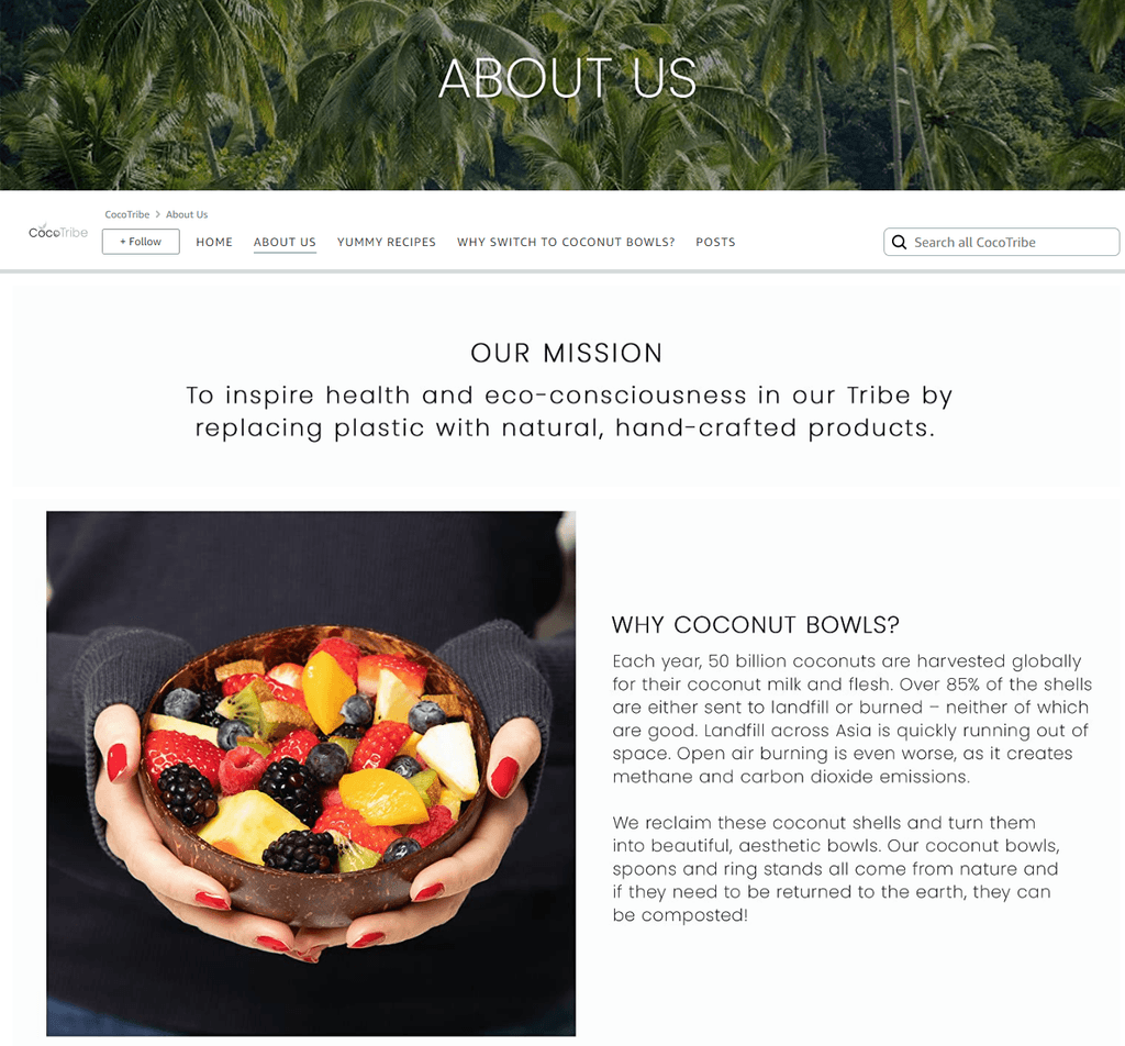 10 Best Amazon Storefronts Examples Created by eStore Factory