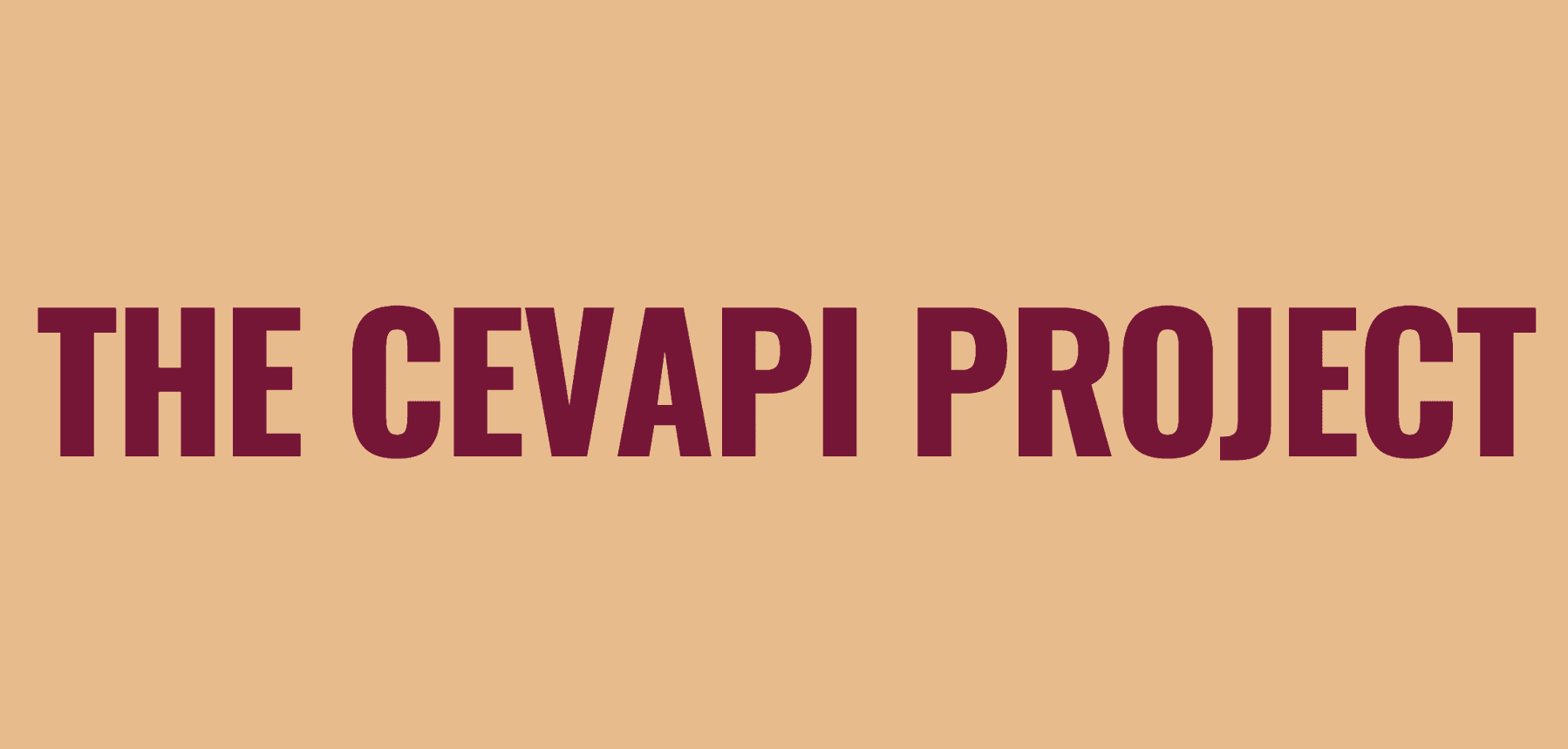 The Cevapi Project
