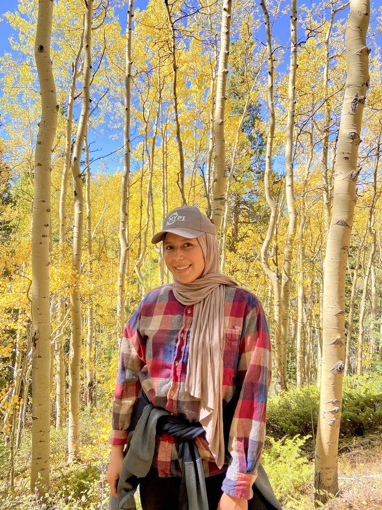 Ma'wa Collective | Our Team