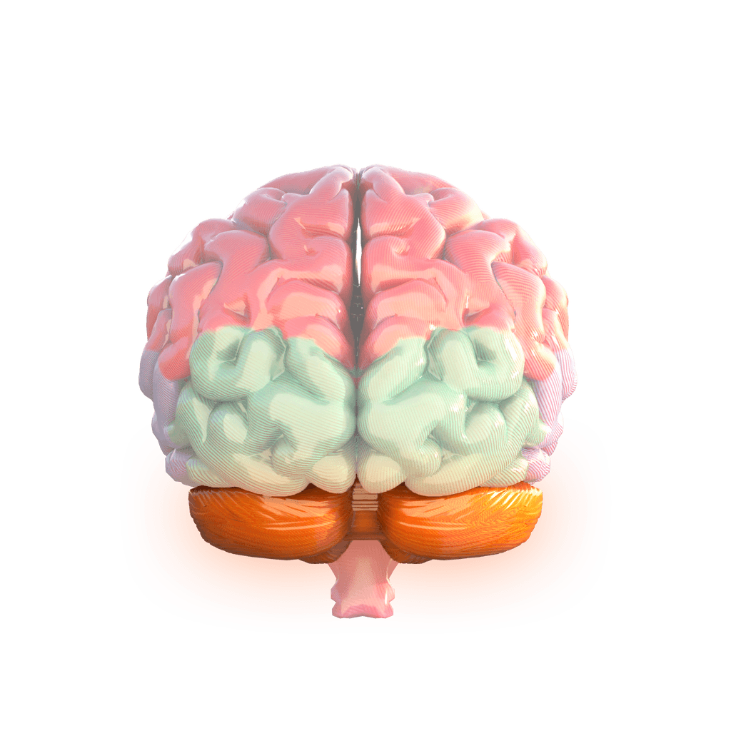 What Are Brainwaves & How to Read a Brain Map | Myndlift