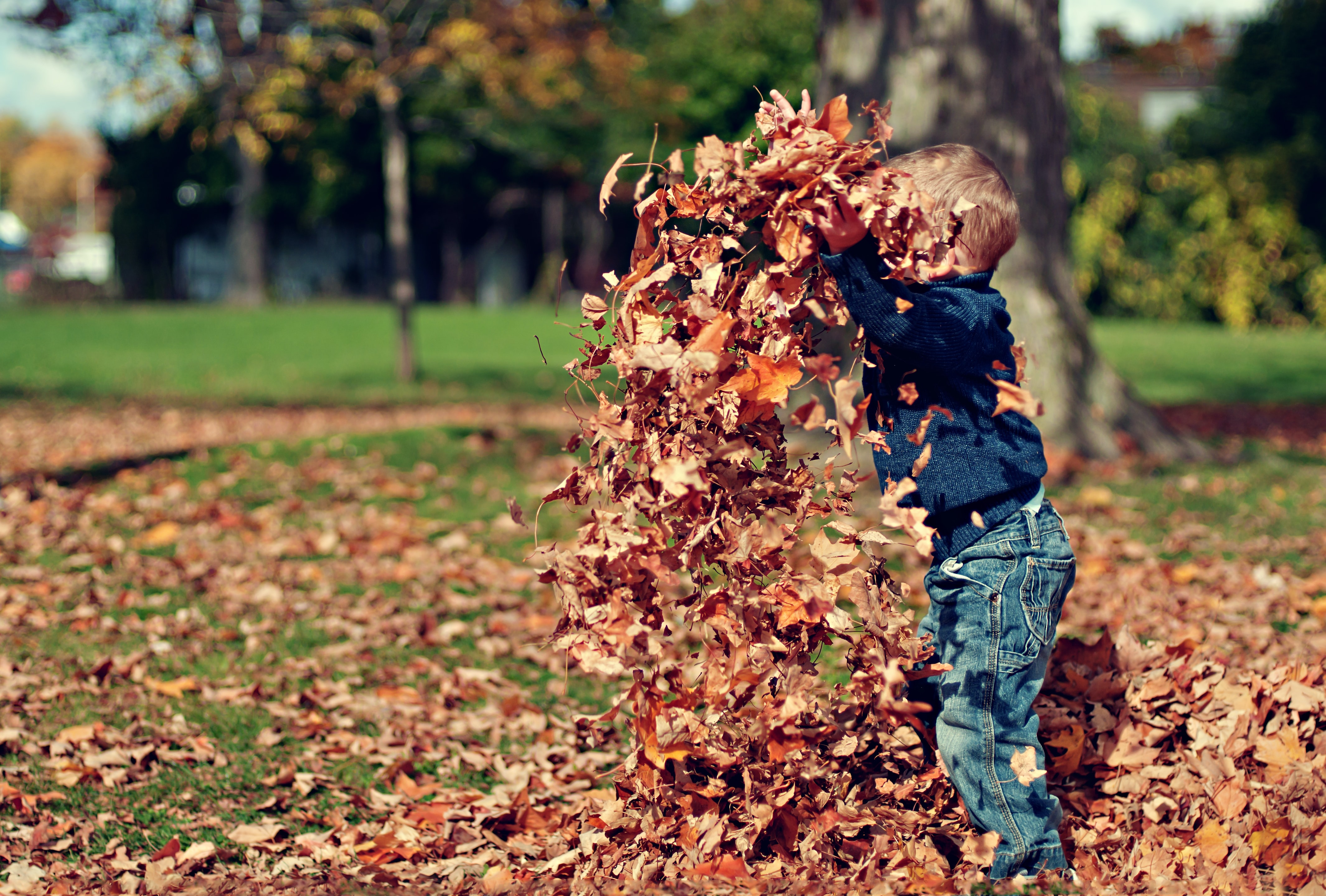 25 Fun and Interactive Fall-Themed Activities for Preschoolers and Toddlers