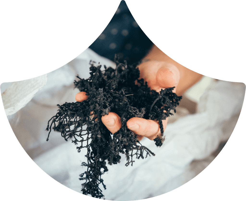 Bureo® – Makers of NetPlus® Material, 100% Recycled Fishing Net
