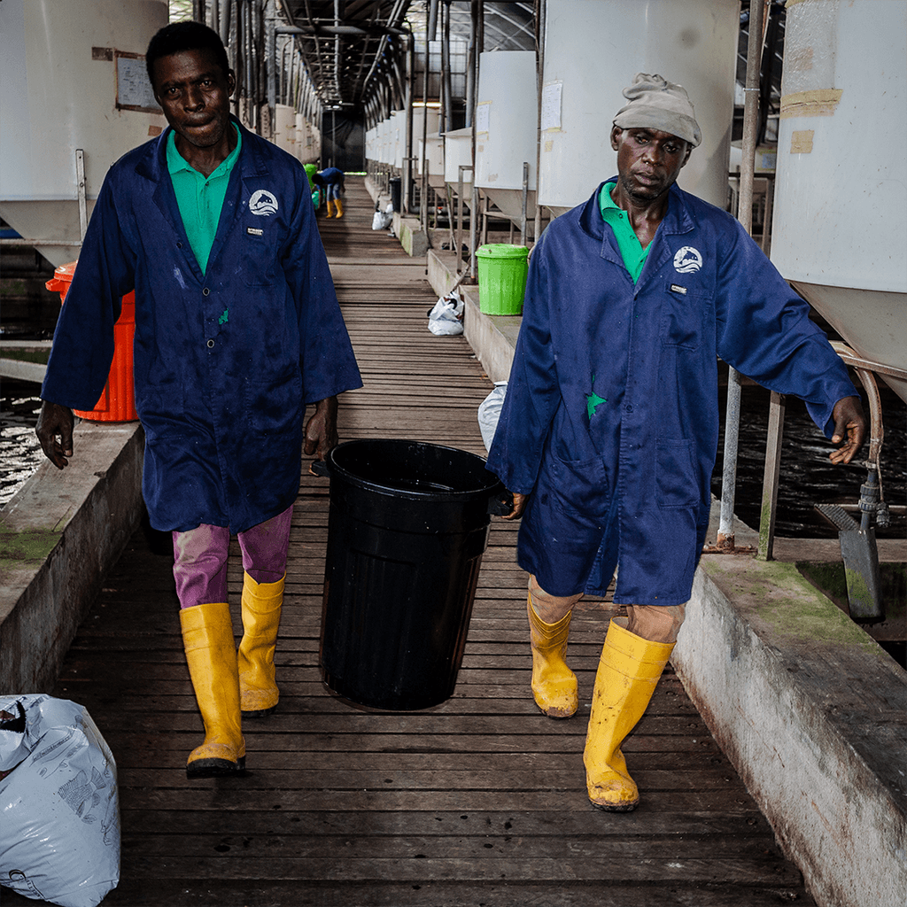 Our Impact | Verod Capital Management