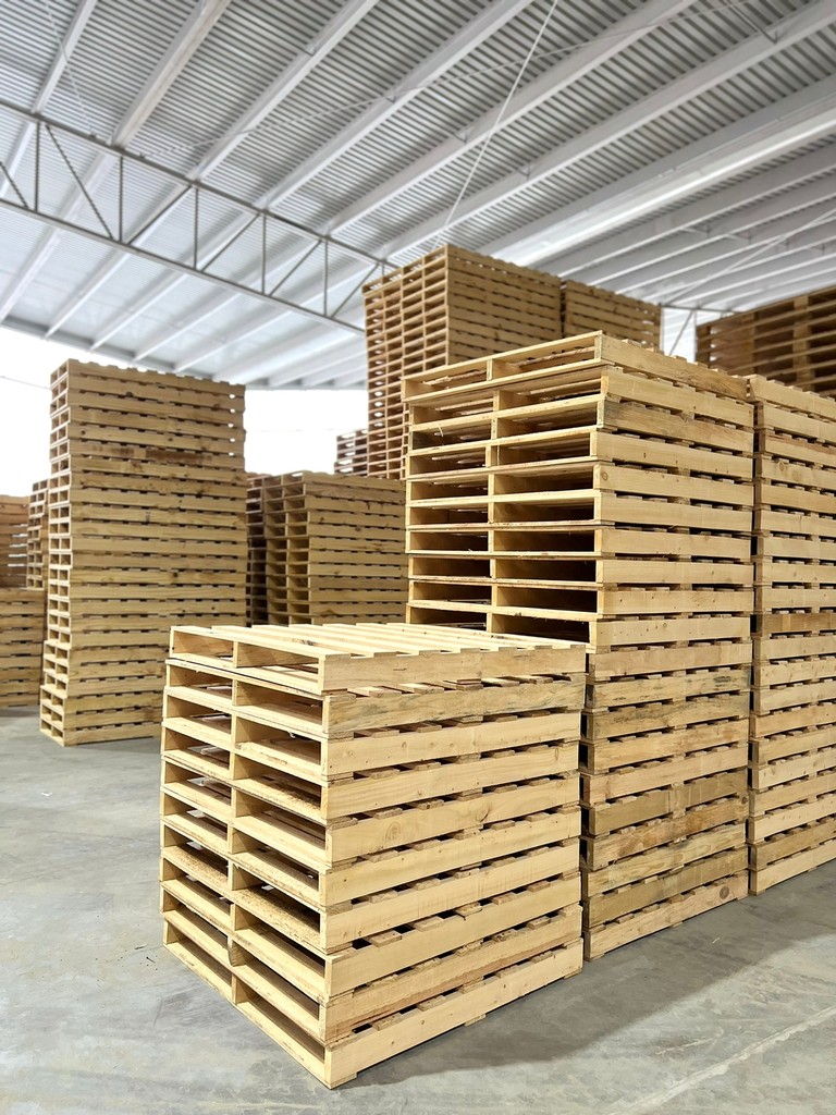 Tarimas y Maderas de Mexico | Tarimex