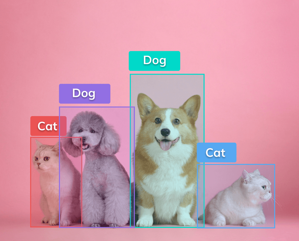 Object Detection Models Architectures And Tutorial [2024]