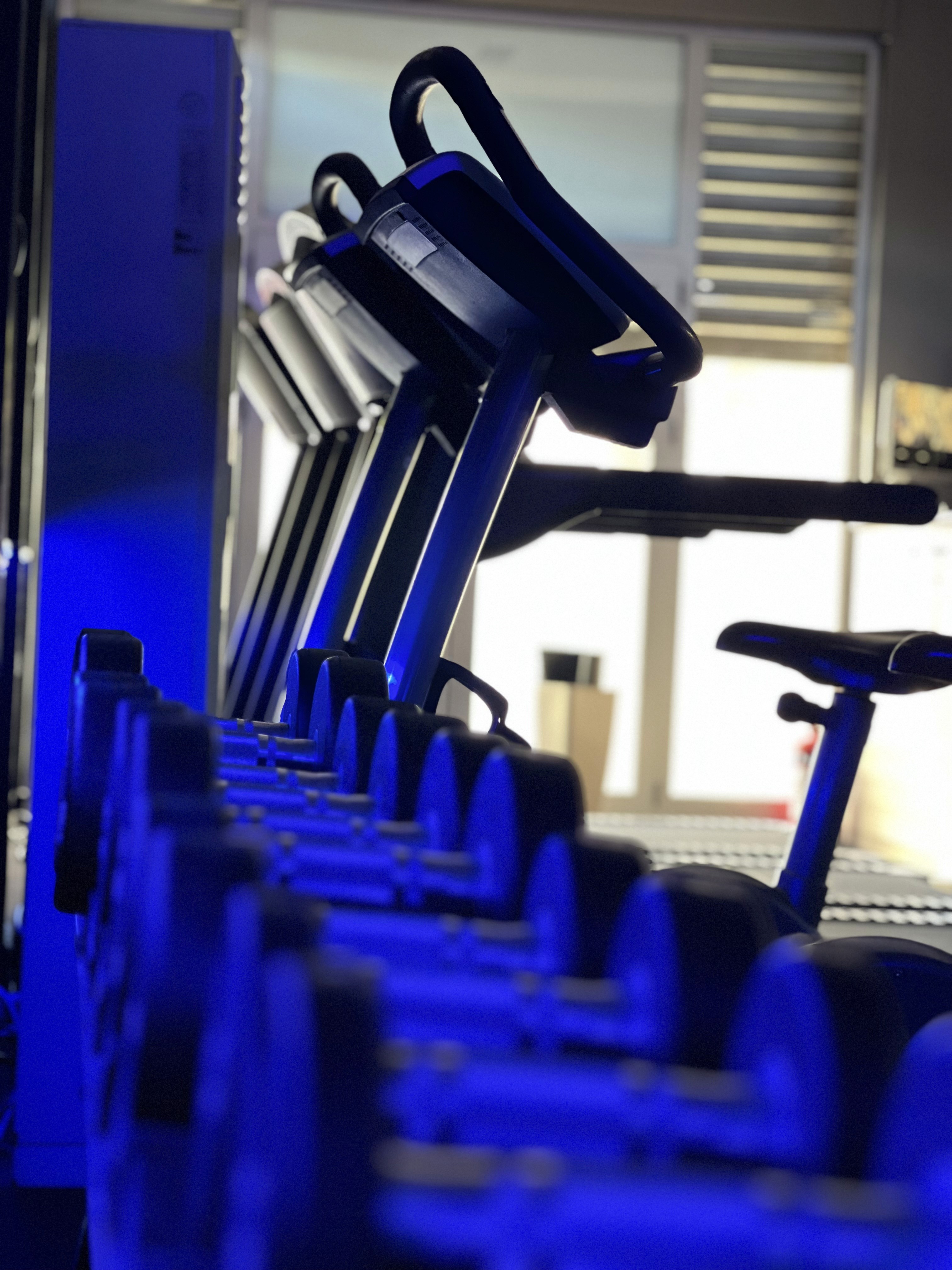 Palestër Për Femra Në Tiranë - Beast Power Mode