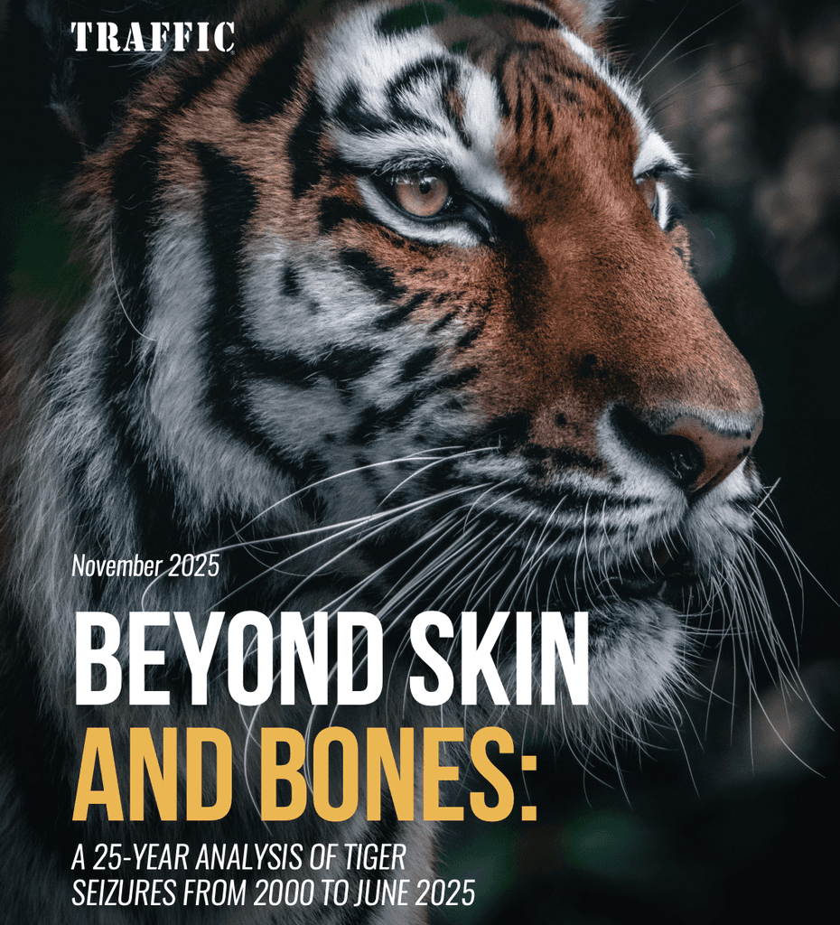 Beyond Skin and Bones 2025 - TCC Demo Landing Page