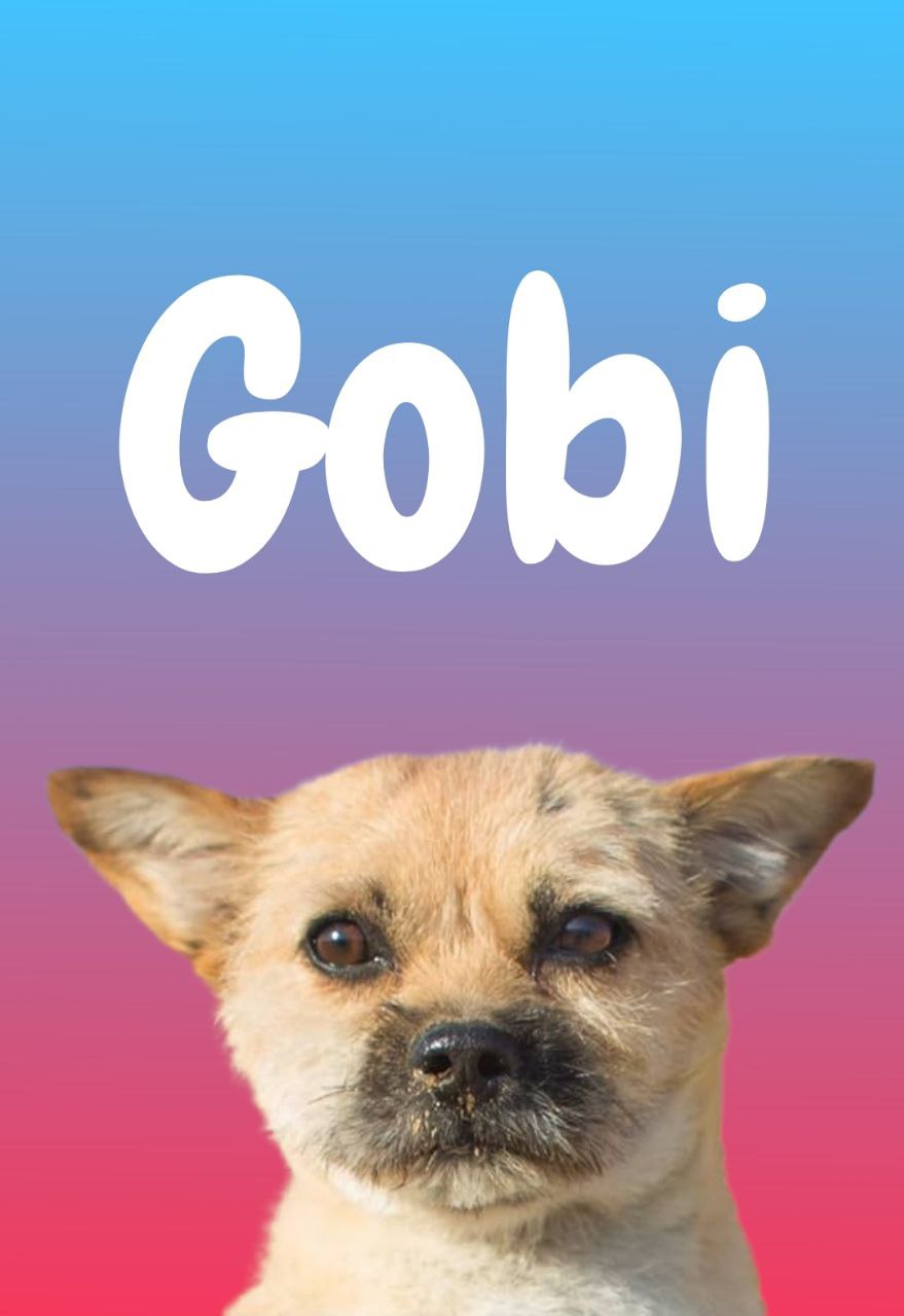 GOBI