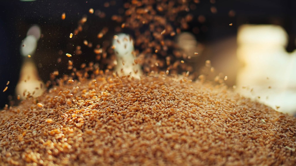 Independent surveying and inspection services – BSS Group