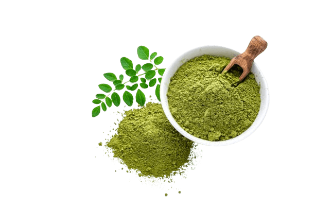 TDExport - Global Agro-Export Solutions