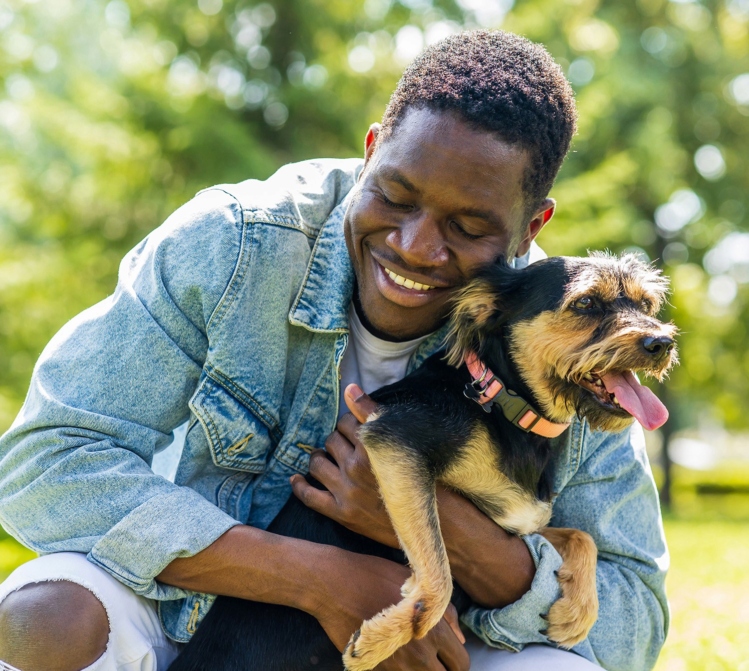 Chitra Walmsley Positive Dog Training