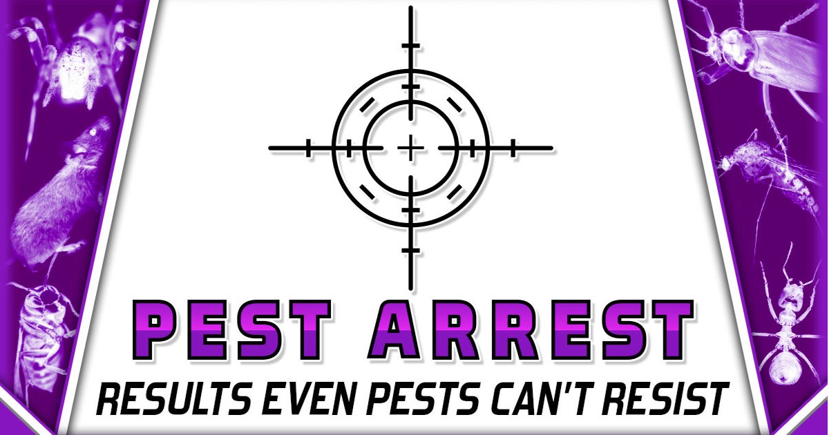 Pest Arrest | Pro Pest Control | Red Wing, MN