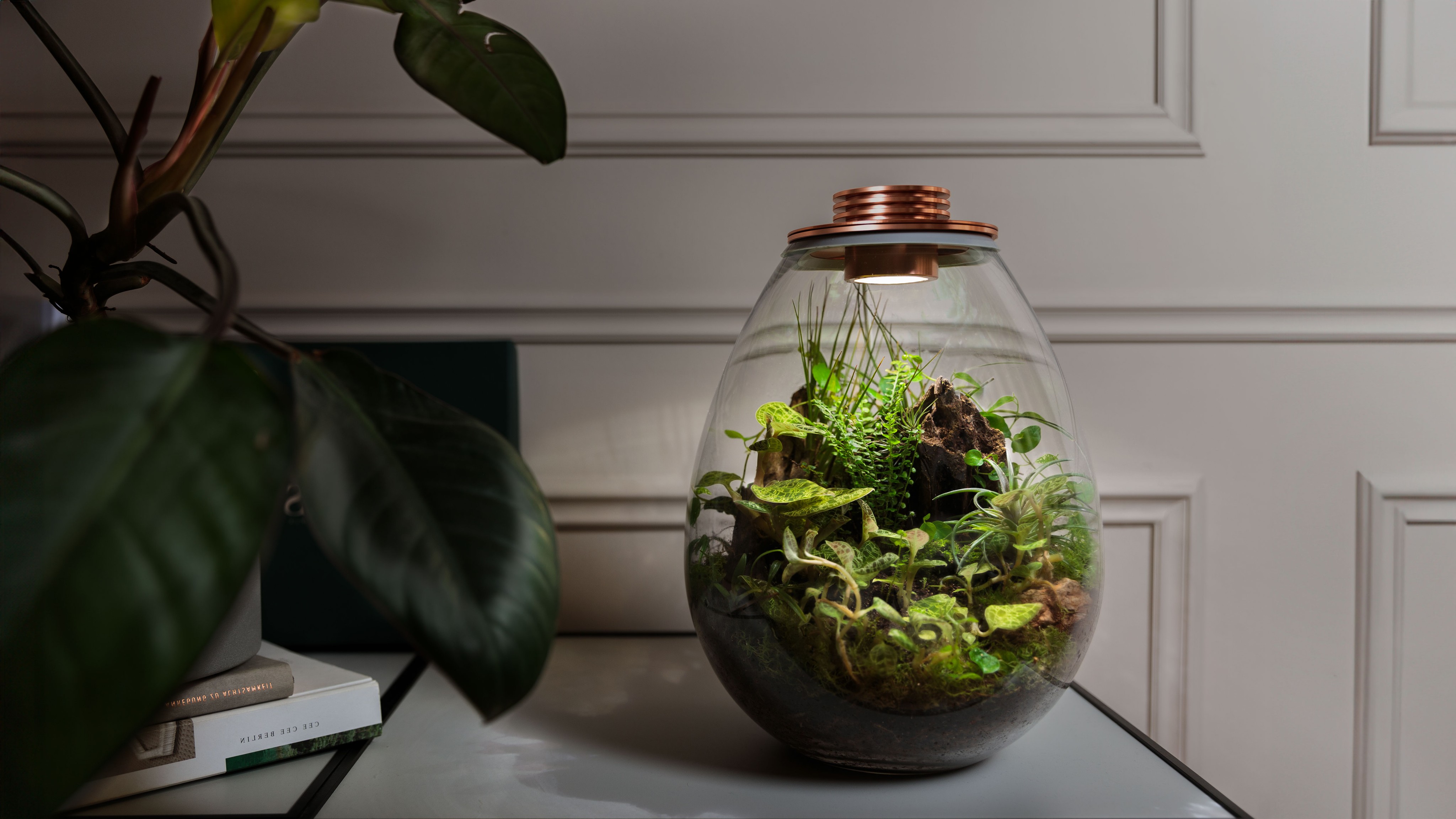 Baiosphere - Your Living Light | Mini Terrarium with Full Spectrum LED ...
