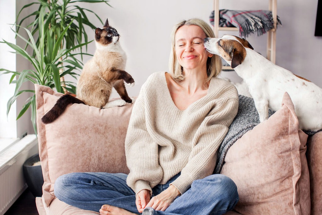 Pets in Rental Housing: Rights and Solutions for Owners