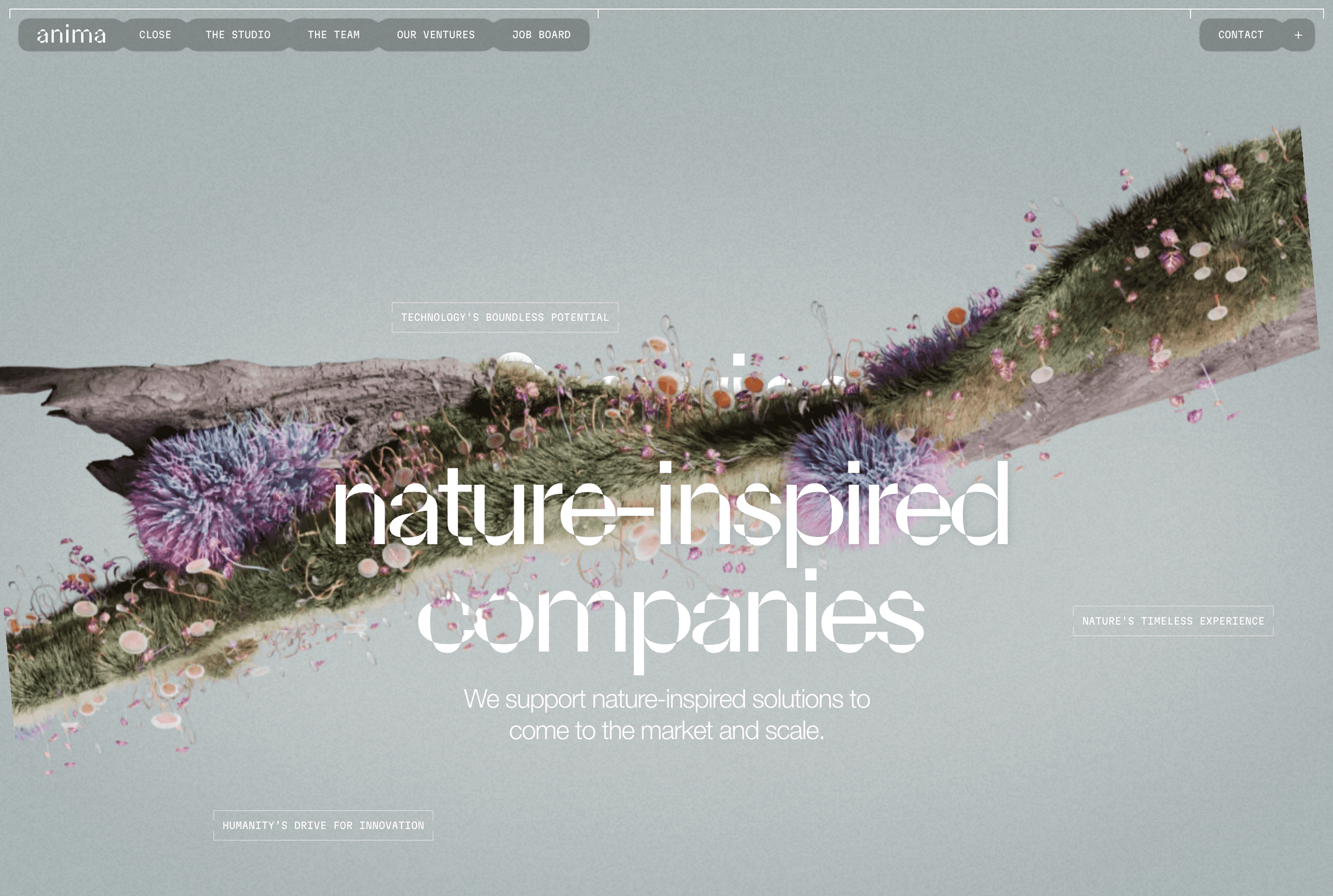Navbar Design – Curated Navbar Gallery & Inspiration