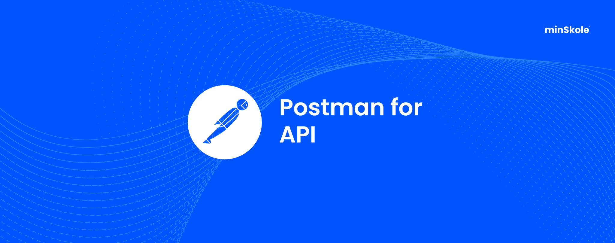 Postman for API - Minksole