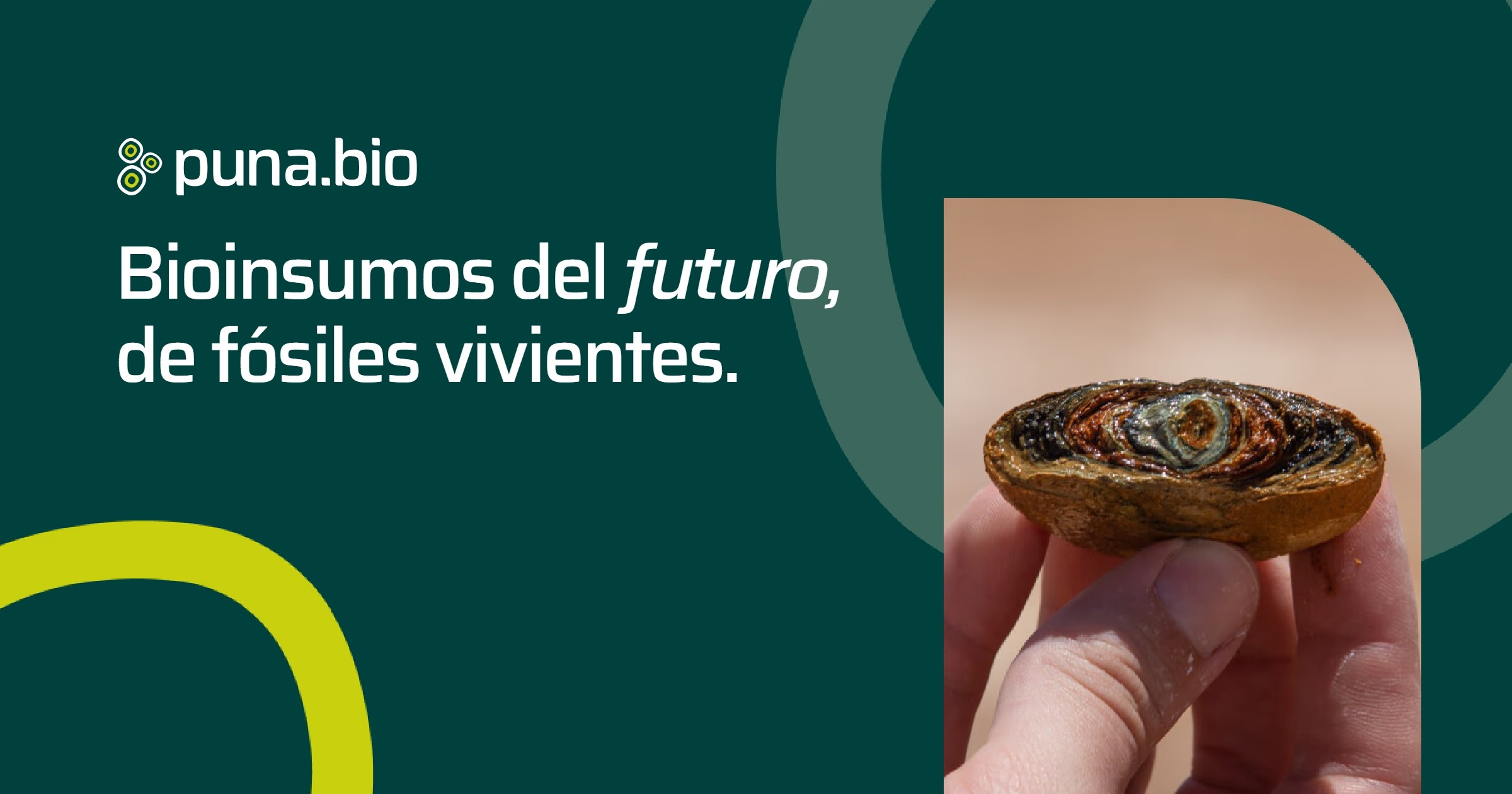 Puna.bio | Bioinsumos del futuro, de fósiles vivientes.