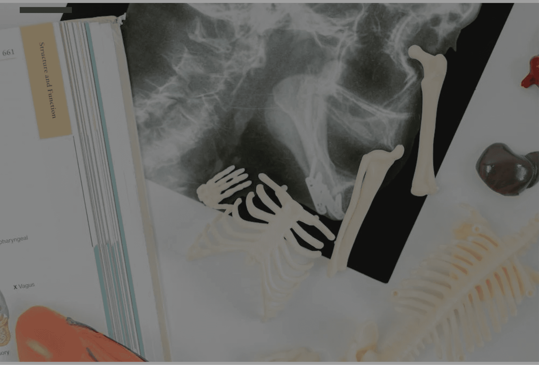 Circuit Stream | Pre University Courses for Teens