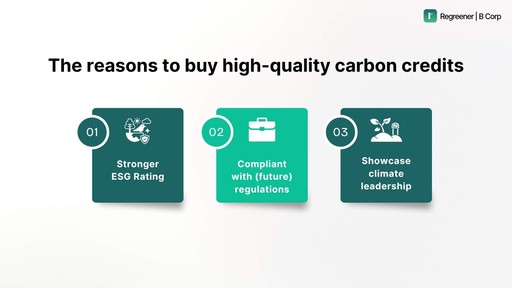 Carbon Credits: Standards, Project Types, and How to Buy | Regreener