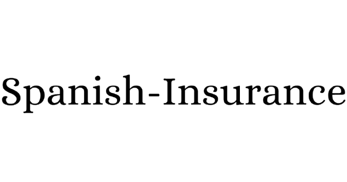 Spanish Insurance | Spain | Insurance in Spain