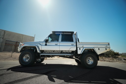 Dynamic Diesel Performance