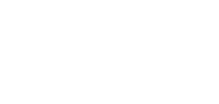 MindFort | The Autonomous Security Engineer