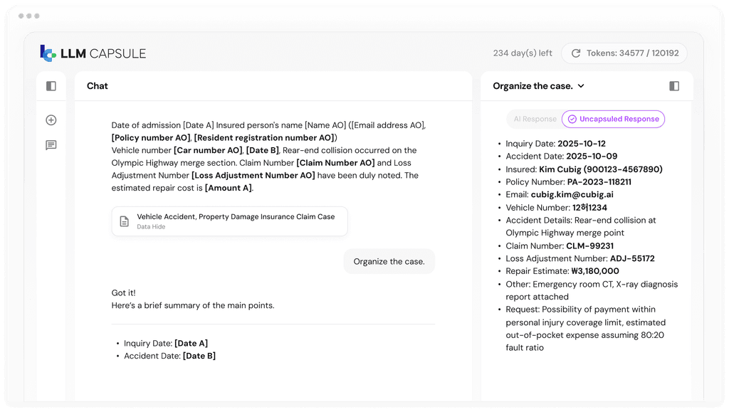 LLM Capsule — enterprise AI security and compliance solution