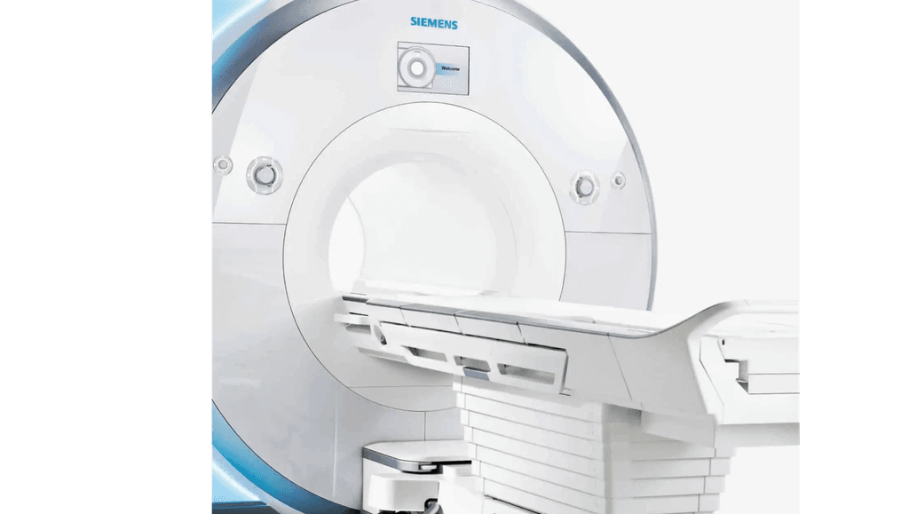 Perplexity Pro Perks