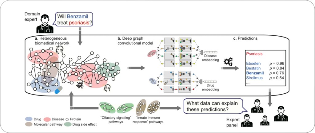 A Beginner’s Guide to Graph Neural Networks