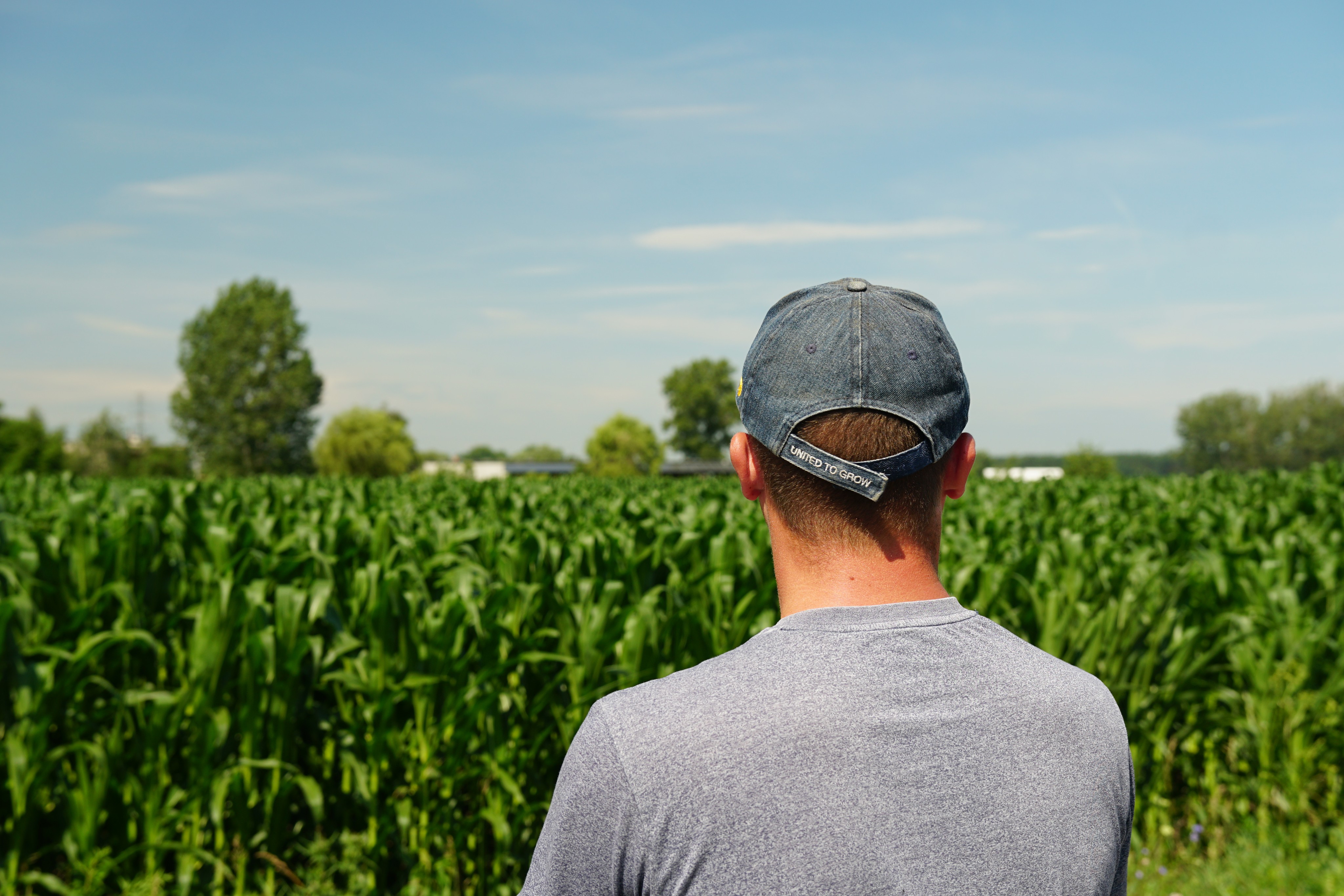 Nowoczesne rolnictwo z eAgronom