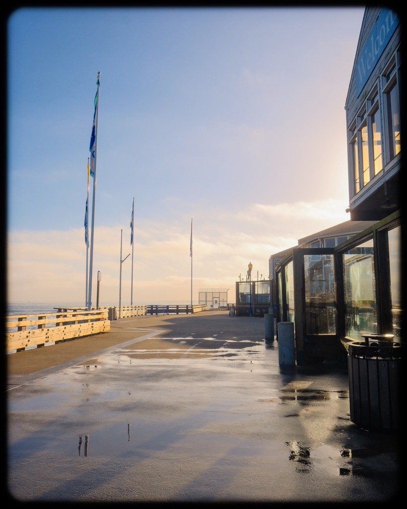 Gamified Life OS | Gamify Your Life In Notion