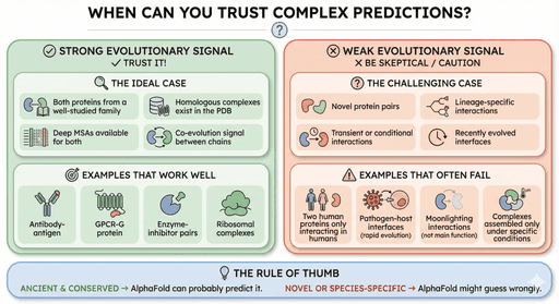 How to Interpret AlphaFold Confidence Scores for Multi-Chain Complexes ...