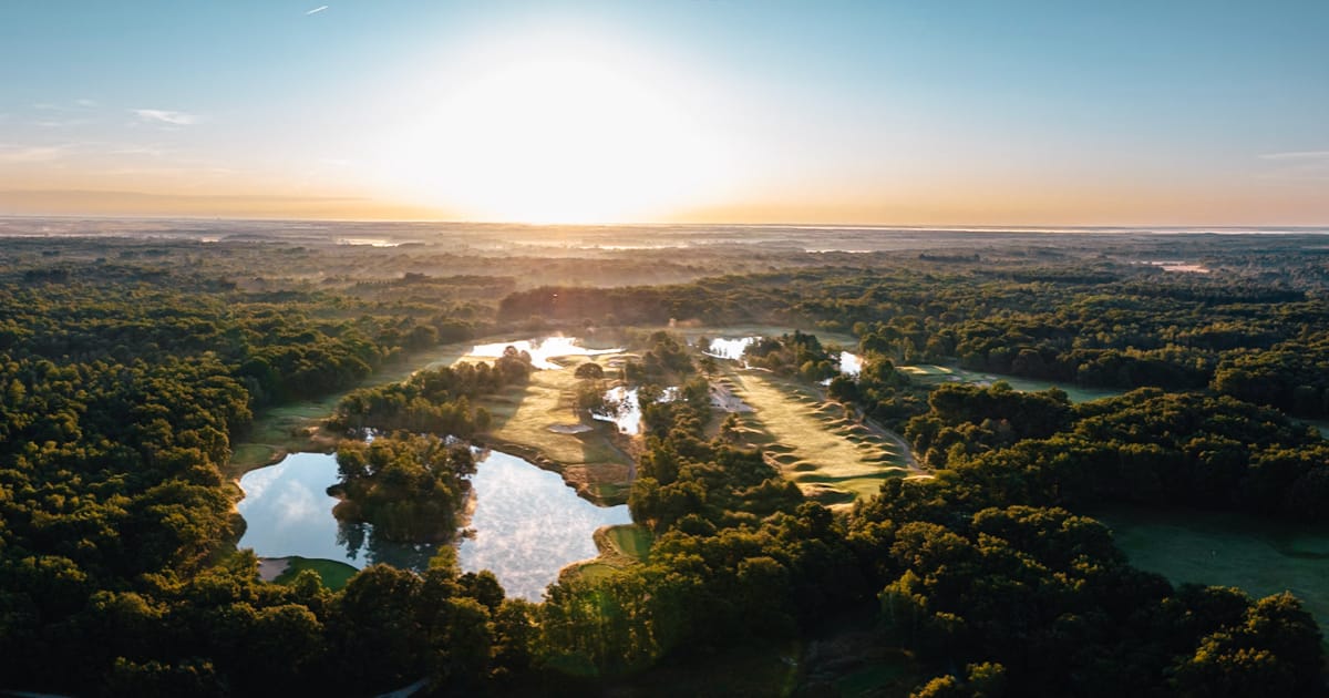 A rich and diverse ecosystem in the heart of the Sologne Forest