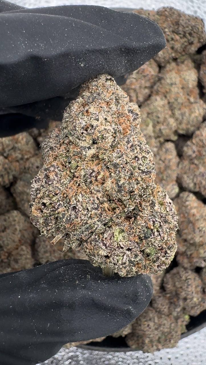 Flower - Cali Exotics