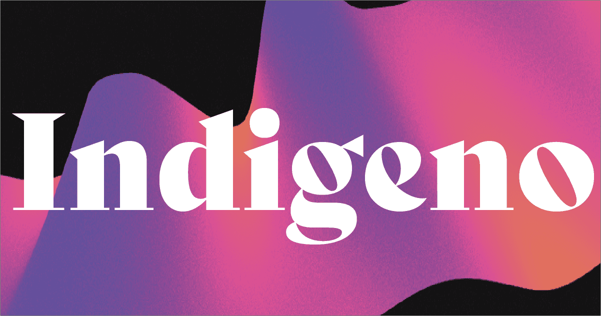 Indigeno LLC | Digital Consultency
